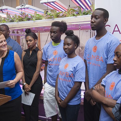 As Summer Youth Employment Program grows, so does the debate over how ...