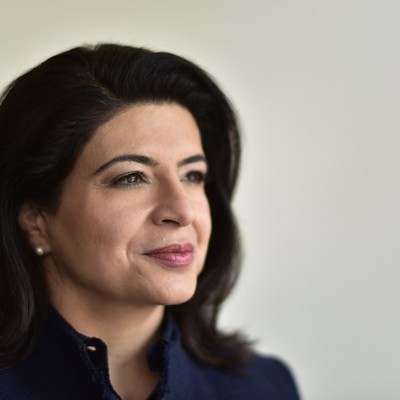 Can Anna Kaplan convince Long Islanders to trust a Democrat? - City ...