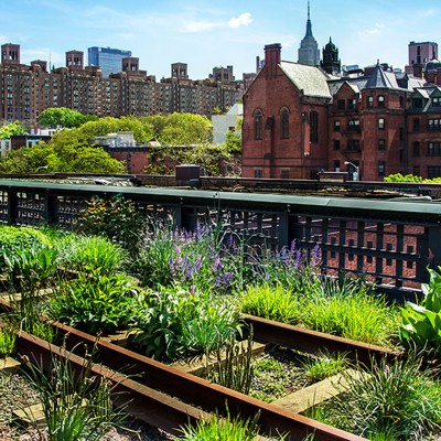 Poll: New York’s Earth Day environmental initiatives - City & State New ...