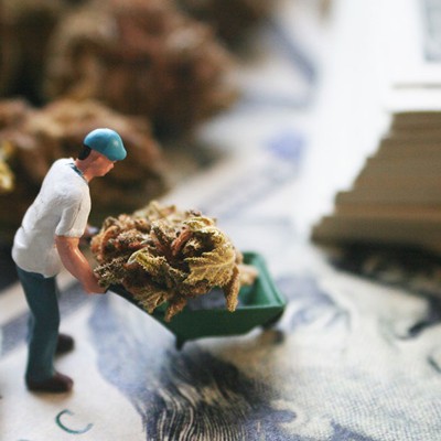 Marijuana companies spend big on lobbying amid a slumping pot market ...