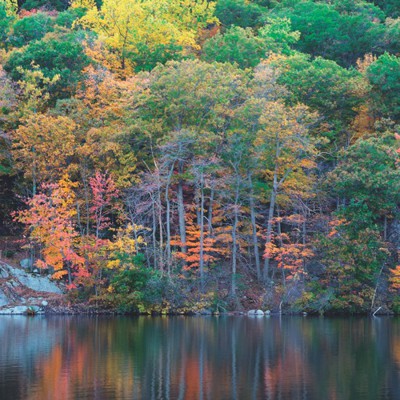 Agency focus: New York state Department of Environmental Conservation ...