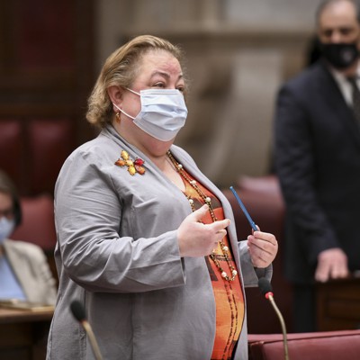 Liz Krueger, the reformer - City & State New York