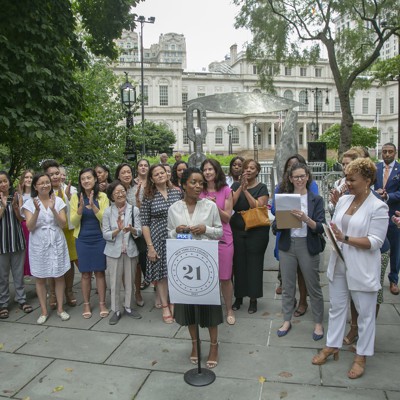 It was a good year for electing women to the New York City Council ...