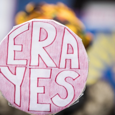 Building the strategy to pass an Equal Rights Amendment in New York ...