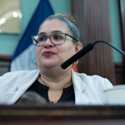 Diana Ayala has a possible successor in mind: her chief of staff - City ...