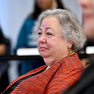 Liz Krueger says unpausing congestion pricing is the only way forward ...