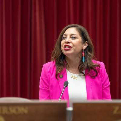 Opinion: Don’t let the late budget block priorities like banning ...