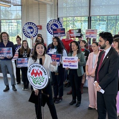 Pro-Palestinian legislation earns support from upstate Dems running in ...